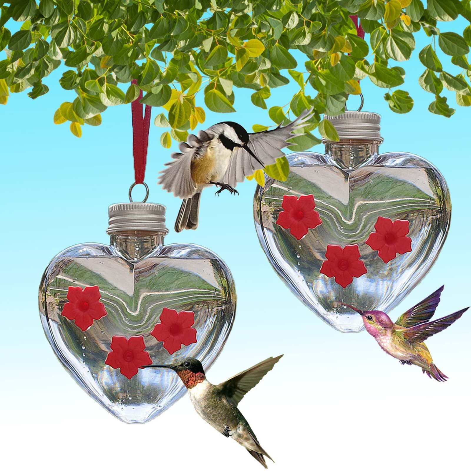 Meggemo 2 3 4 Packs Hanging Bird Waterer with Silver Lid Heart Shaped ...