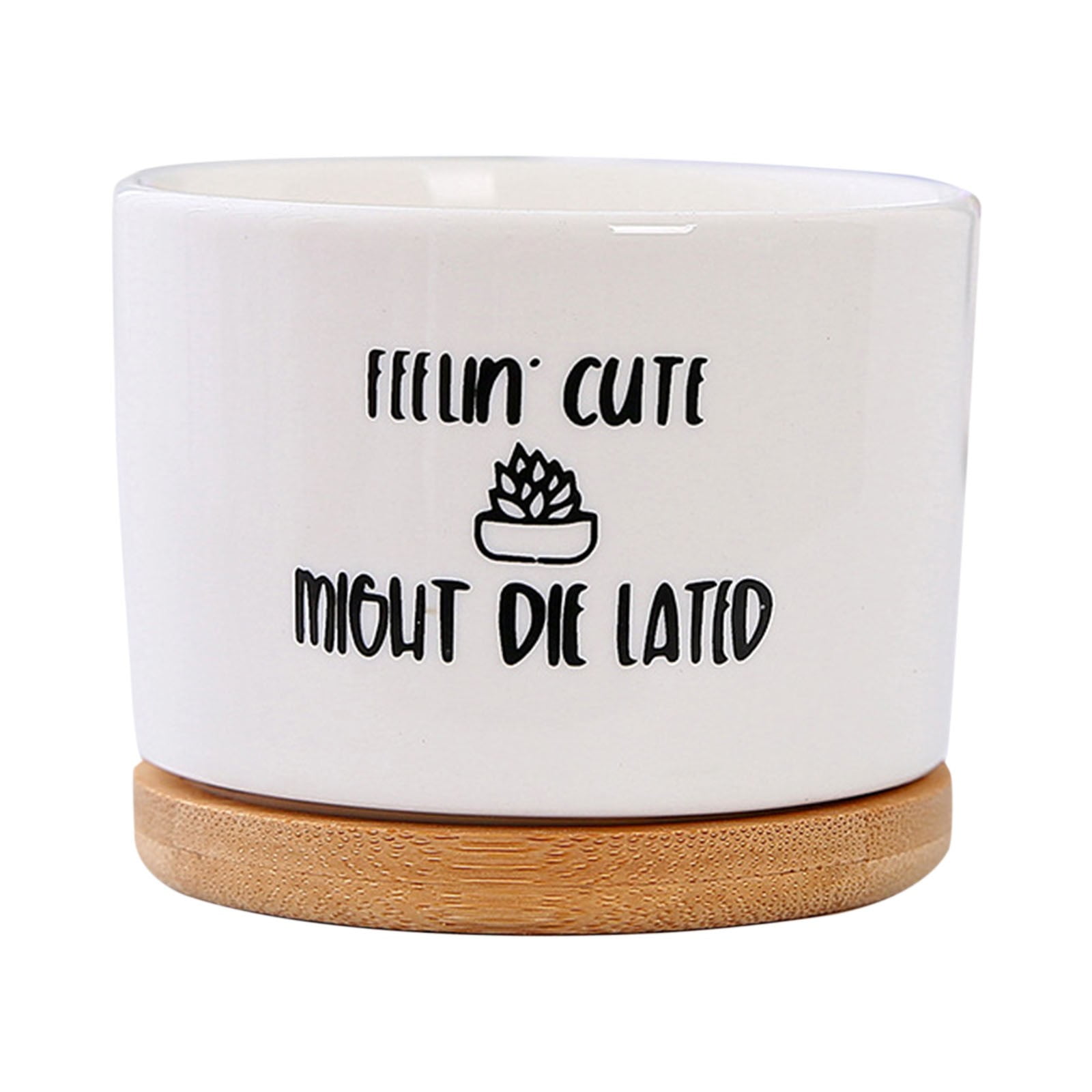 Meggemo Ceramic Succulent Pot Saucer Indoor Desktop Bonsai Tray Sturdy ...