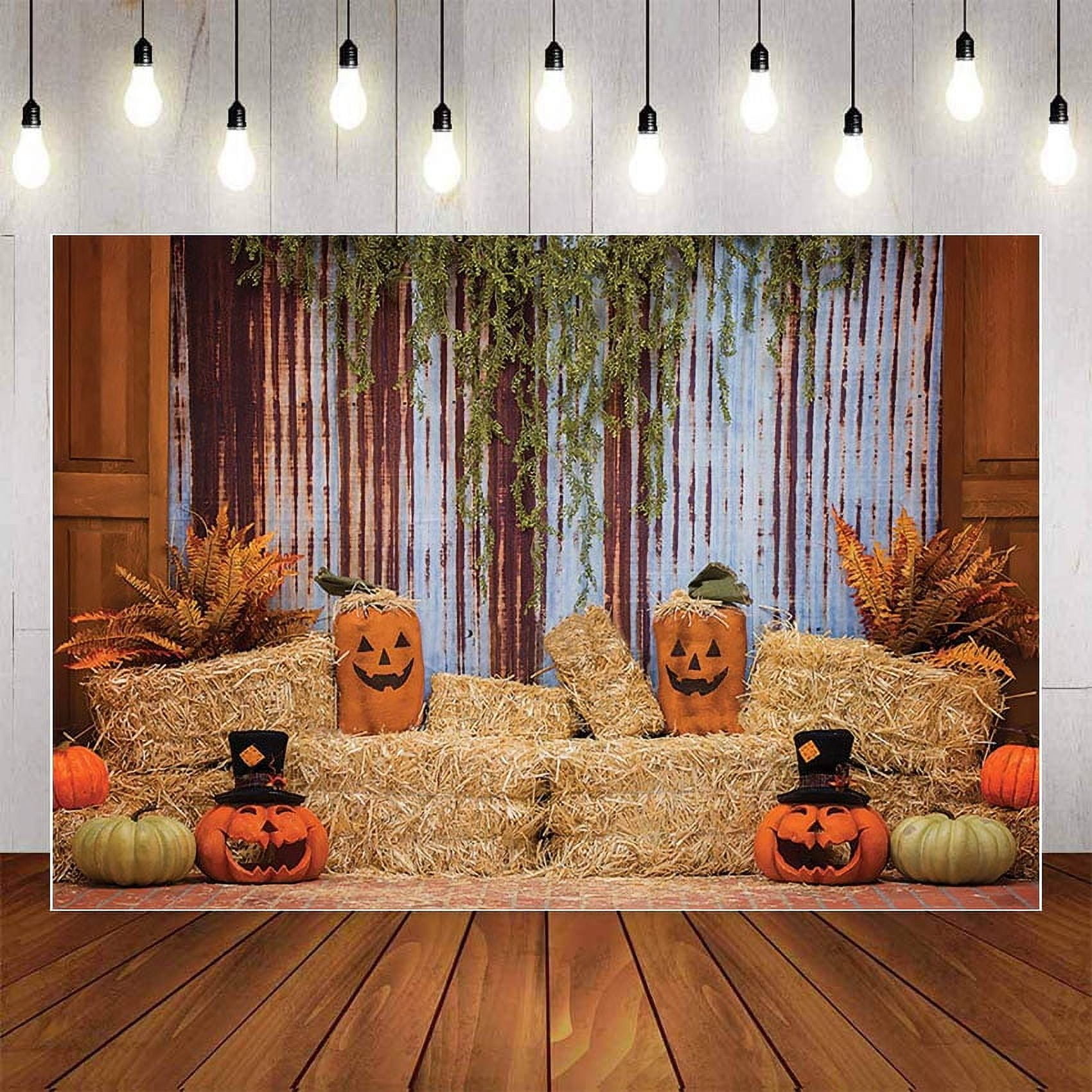 Mehofond Autumn Photography Background Fall Barn Door Harvest Pumpkins ...