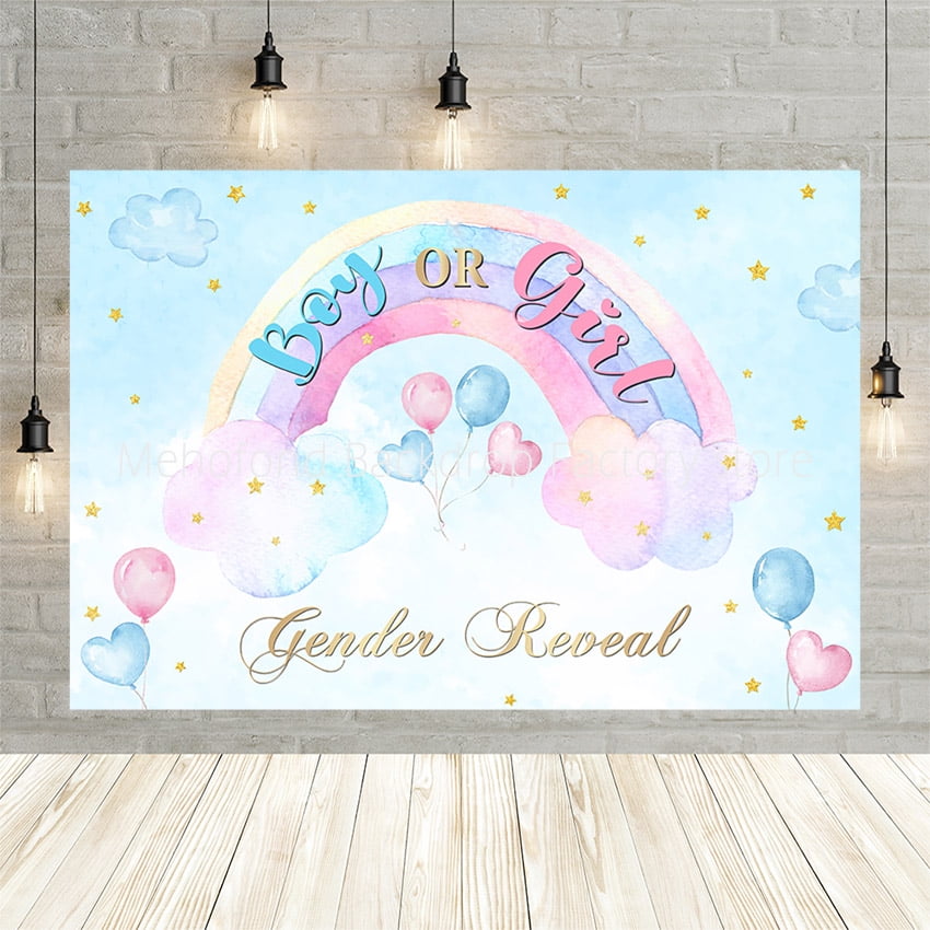 Mehofond Baby Shower Photo Background Boy or Girl Gender Reveal Party ...