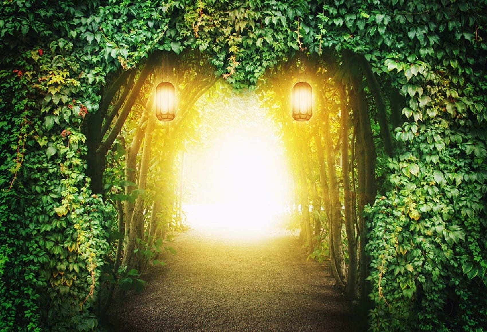 Mehofond Forest Photography Background Spring Jungle Hiking Summer ...