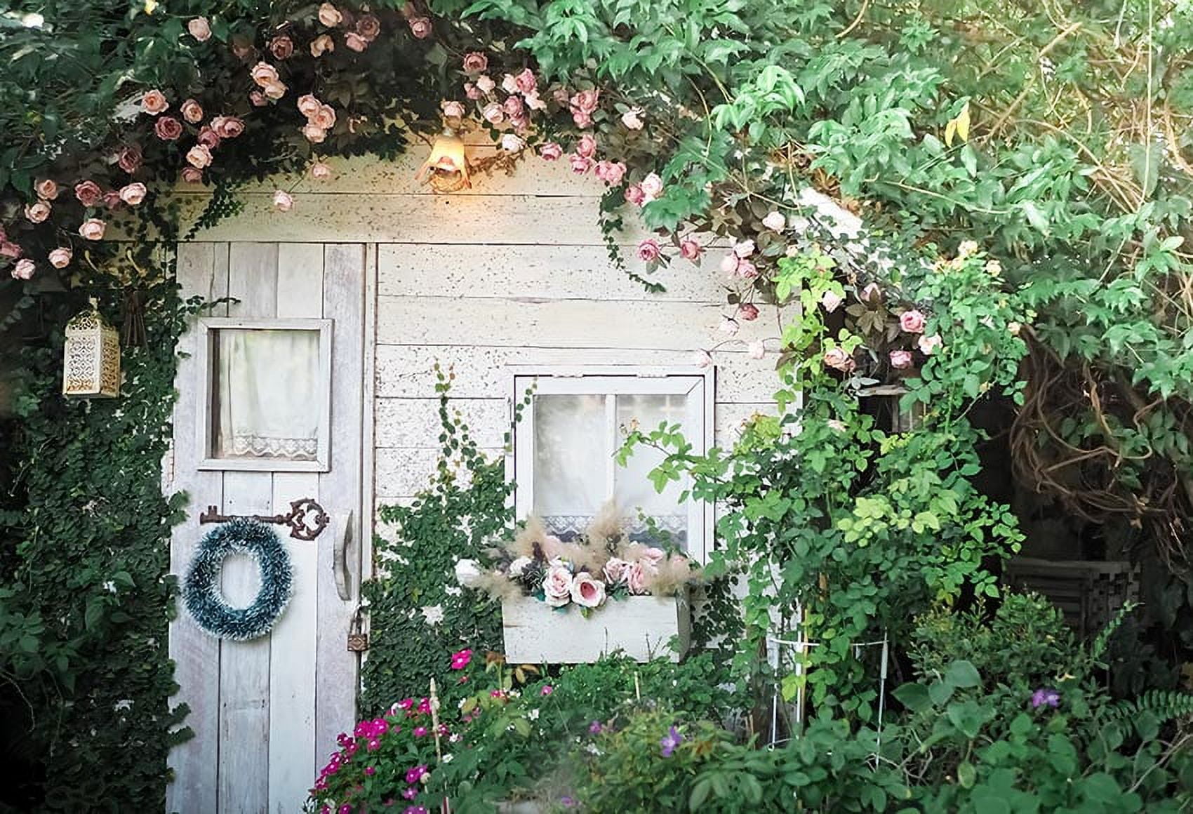 Mehofond Forest Photography Background Spring Jungle Hiking Summer ...