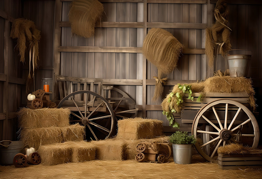 Mehofond Indoor Old Door Hay Backdrop for Photography Kids Birthday ...