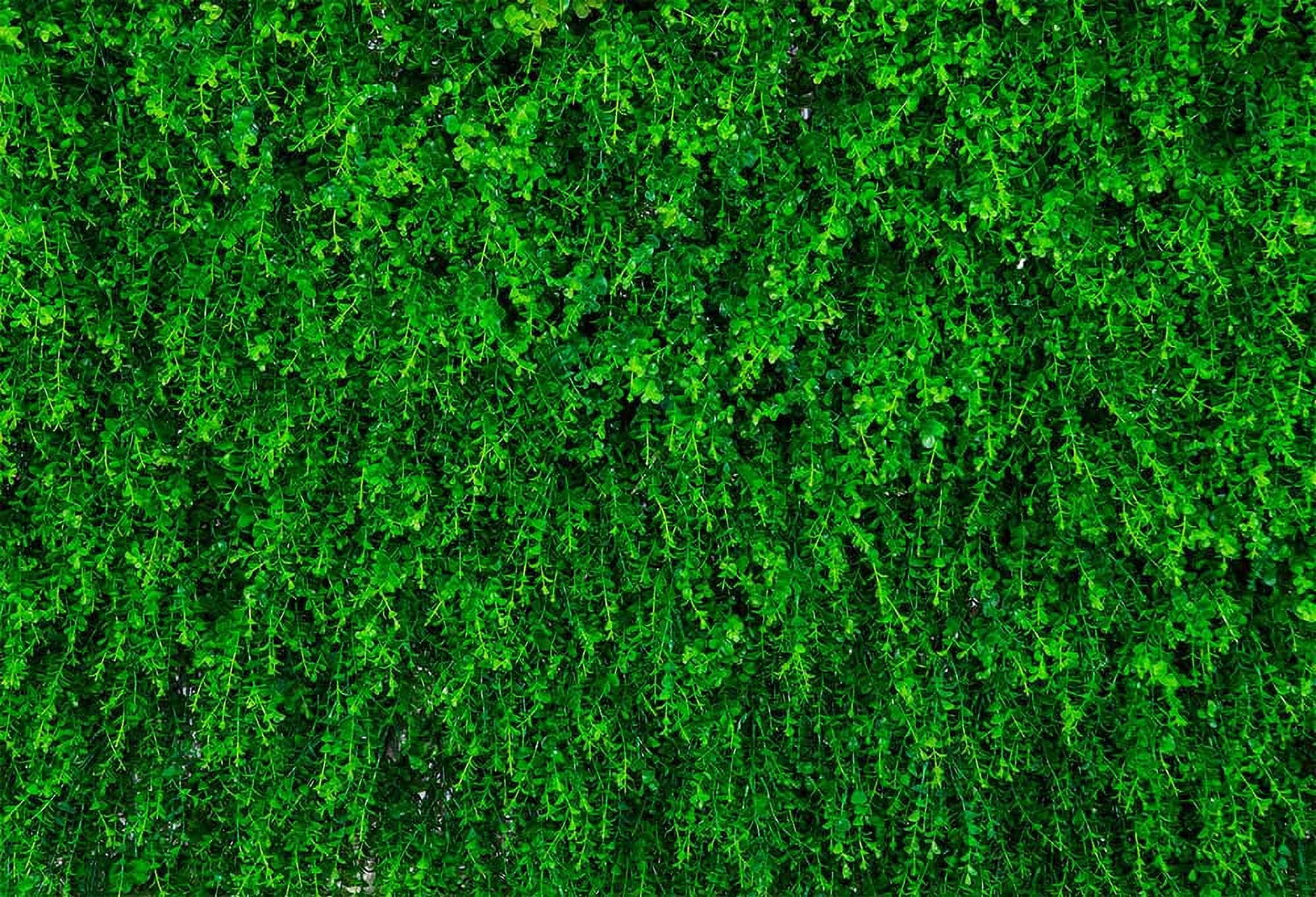 Mehofond Jungle Party Photography Background Grass Foliage Green Screen ...