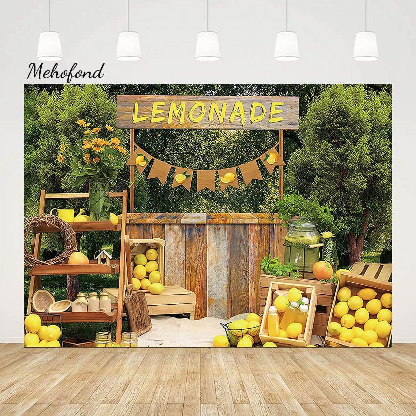 Mehofond Lemonade Backdrop Yellow Fruit Lemon Children Birthday Party ...