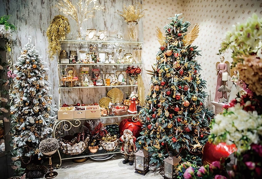 Mehofond Photography Backdrop Gingerbread House Candy Store Family ...