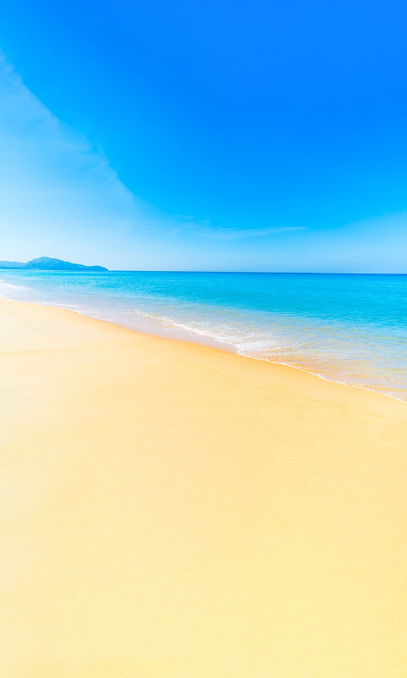 Mehofond Photography Backdrop Summer Blue Sky White Clouds r Adult Portrait Seaside Coconut ...