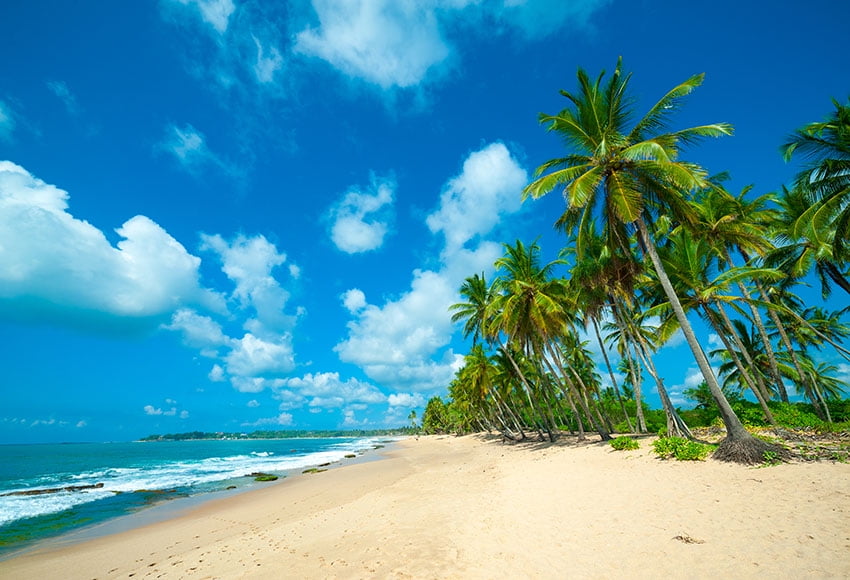 Mehofond Tropical Beach Photography Background Seaside Summer Wedding ...