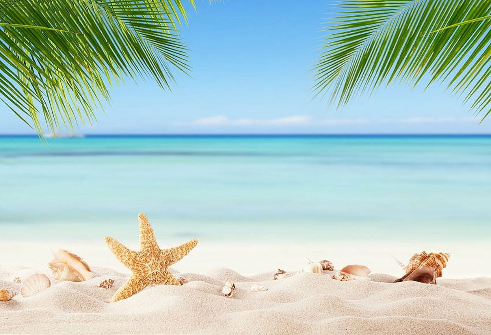 Mehofond Tropical Beach Photography Background Seaside Summer Wedding ...