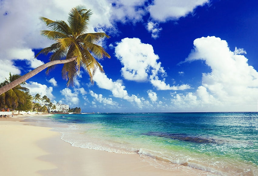 Mehofond Tropical Beach Photography Background Seaside Summer Wedding ...