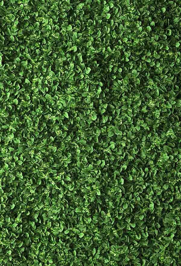 Mehofond Tropical Photography Background Green Grass Jungle Forest ...