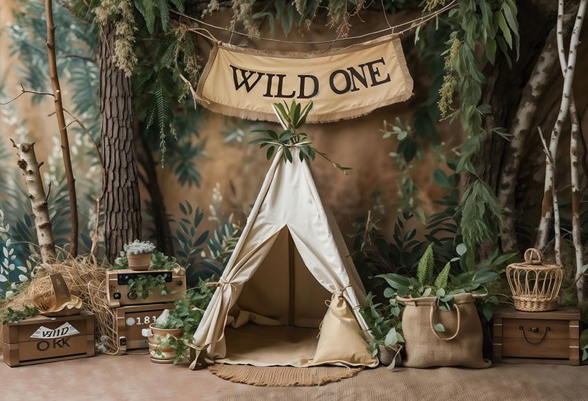 Mehofond Wild One Theme Backdrop Newborn 1st Baby Birthday Party ...