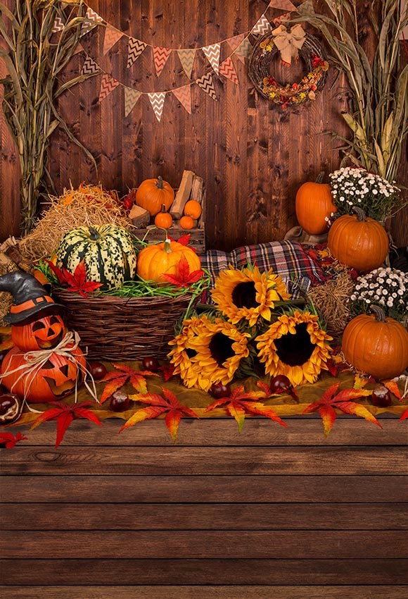Mehofoto Photography Fall Background Photoph Halloween Autumn Pumpkin ...
