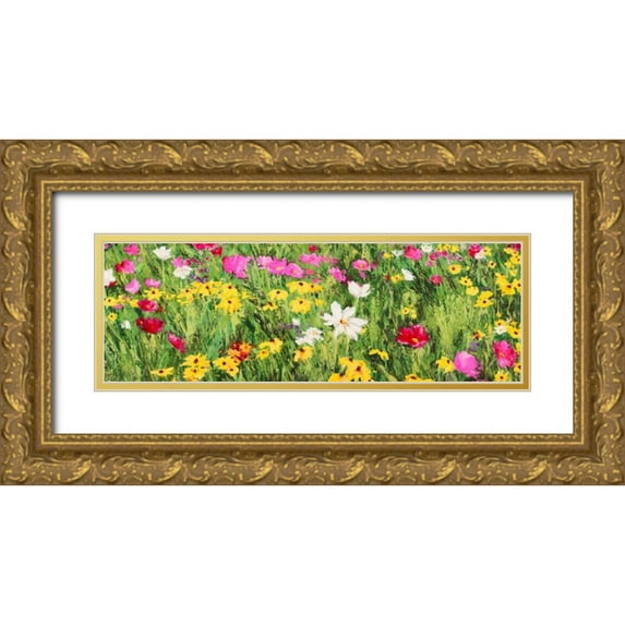 Mei, Silvia 24x11 Gold Ornate Wood Framed with Double Matting Museum ...