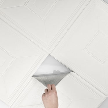 Abyssaly Peel and StickCeiling Tiles, 16 Pack, Covered 21 Sq.Ft, Glue ...