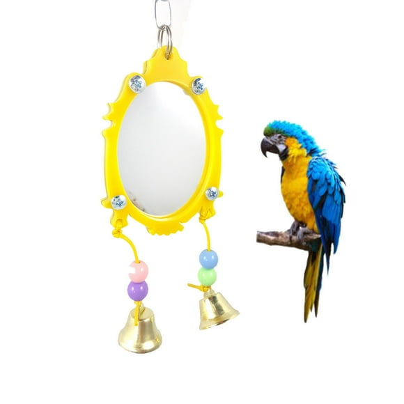 Bird Cage Mirror