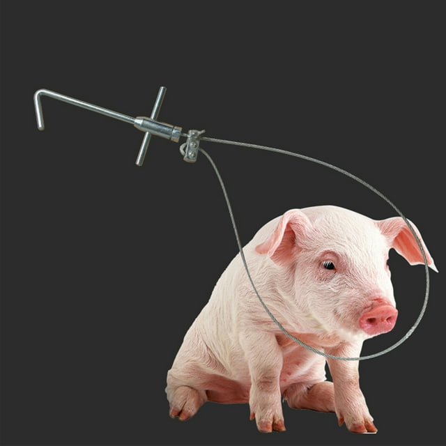 Meidiya Pig Holder Catcher Stainless Steel Pig Holder Catcher Pig ...