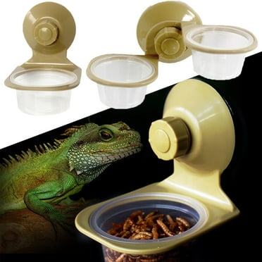 DPOWERFUL Leaf Shaped Bowls for Reptiles and Small Pets, Terrarium Dish ...