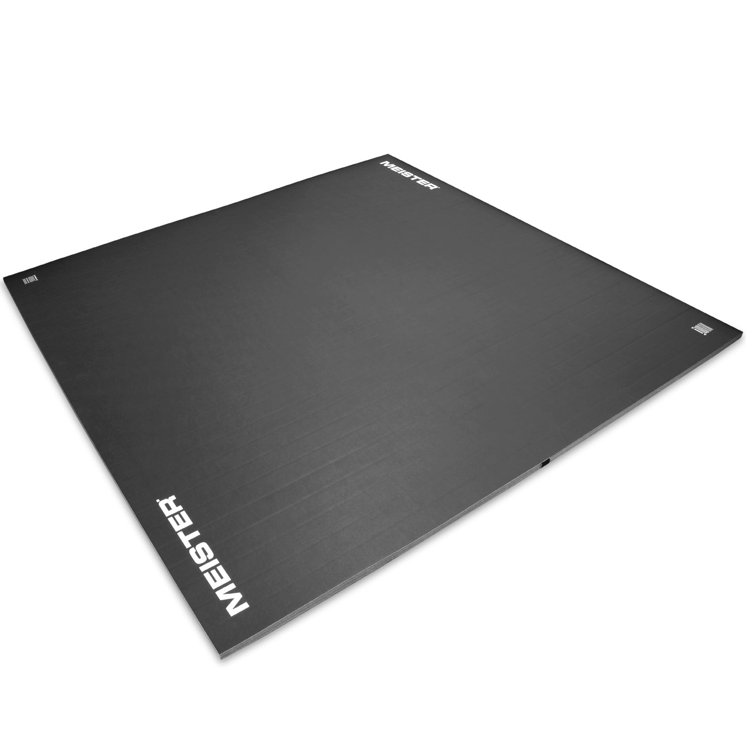 Meister MMA Exercise Pro Training Mat, FlexFloor - 10ft x 10ft Workout ...
