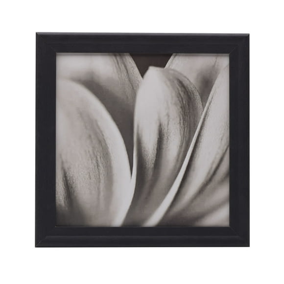8x8 Frame