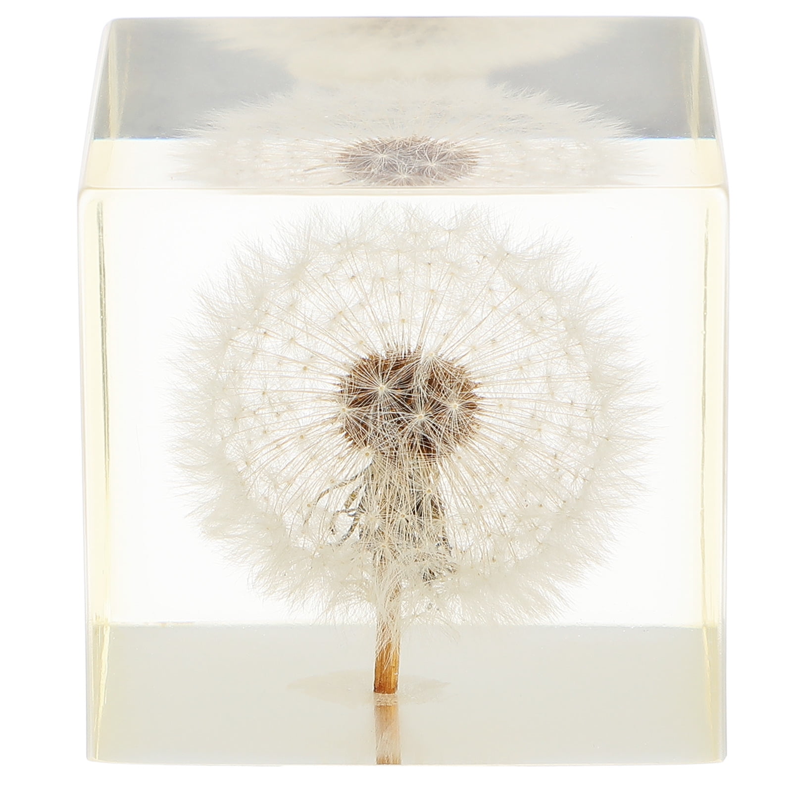 Melantax Creative Dandelion Cube Desktop Decoration Transparent Crafts ...