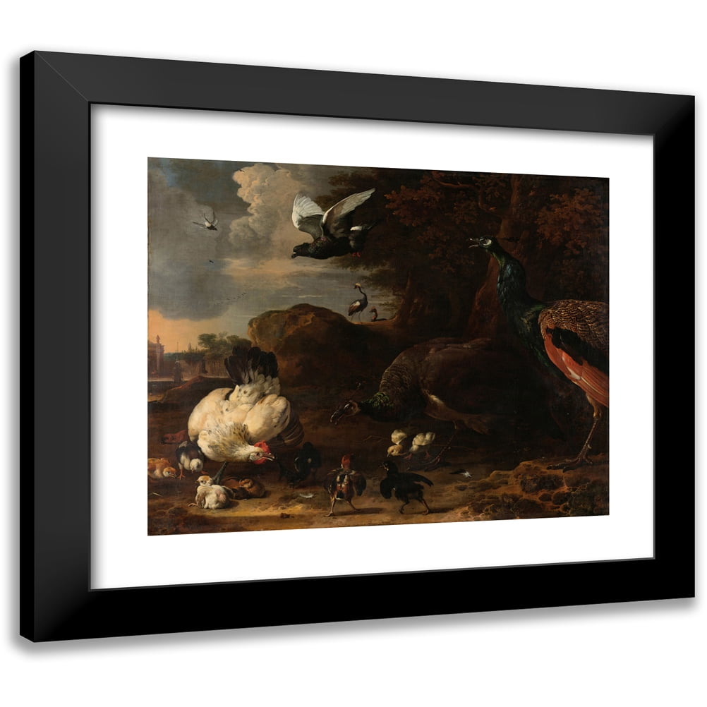 Melchior d'Hondecoeter 24x20 Black Modern Framed Museum Art Print ...