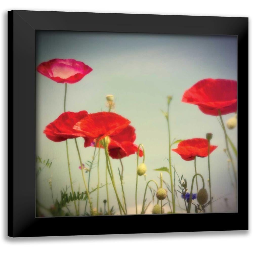 Melious, Amy 12x12 Black Modern Framed Museum Art Print Titled - Bloom ...