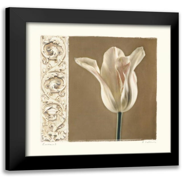 Melious, Amy 12x12 Black Modern Framed Museum Art Print Titled ...