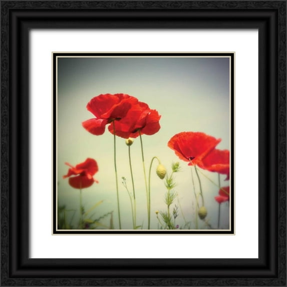 Melious, Amy 12x12 Black Ornate Wood Framed with Double Matting Museum ...