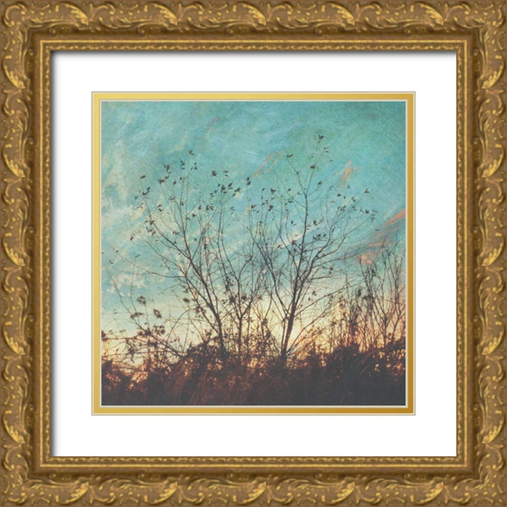 Melious, Amy 12x12 Gold Ornate Wood Framed with Double Matting Museum Art Print Titled - Wild ...