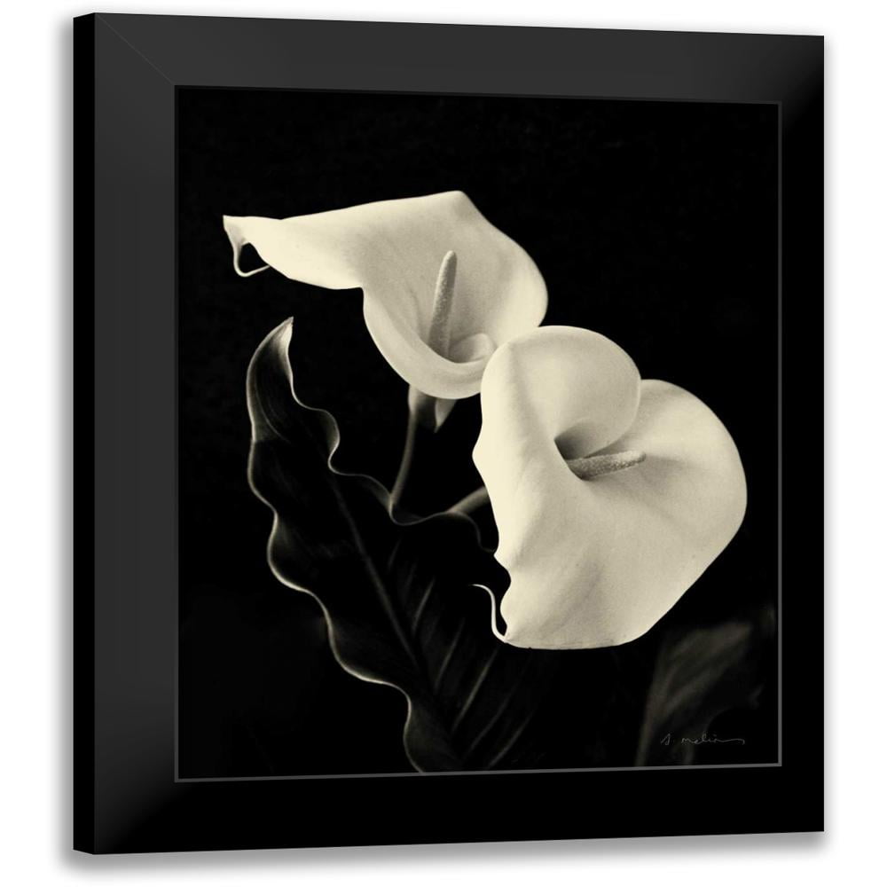 Melious, Amy 12x14 Black Modern Framed Museum Art Print Titled ...