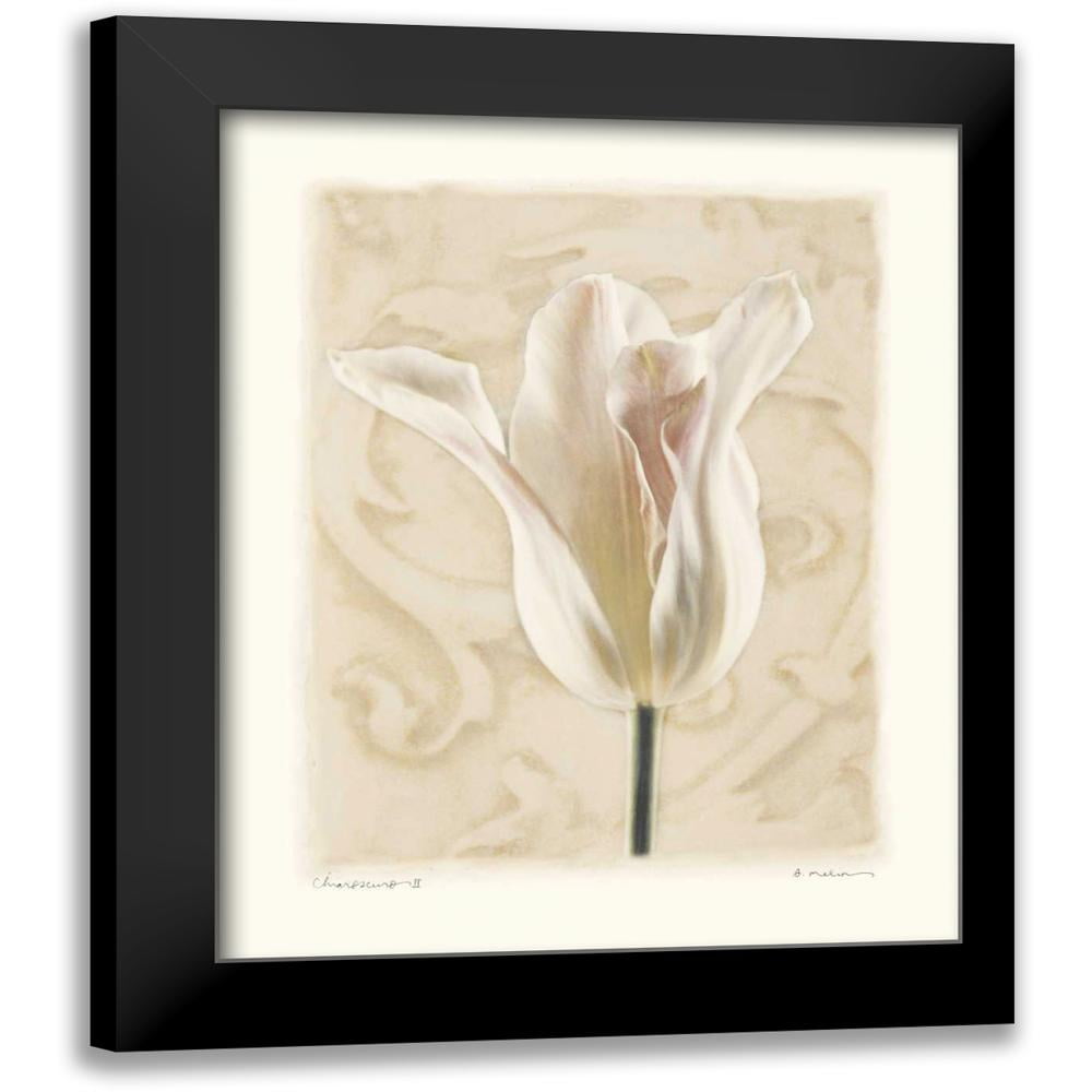 Melious, Amy 12x14 Black Modern Framed Museum Art Print Titled ...