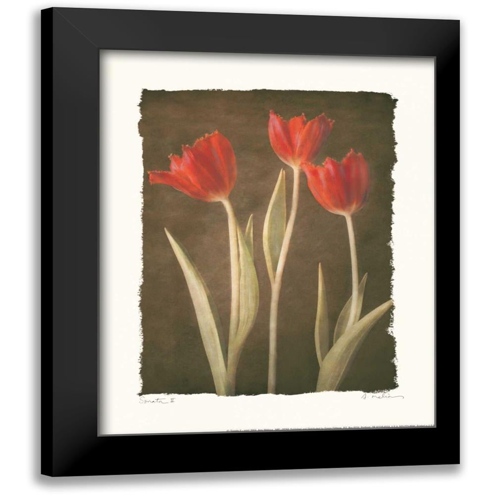 Melious, Amy 12x14 Black Modern Framed Museum Art Print Titled - Sonata ...