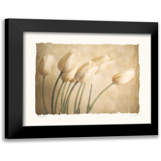 Melious, Amy 14x12 Black Modern Framed Museum Art Print Titled - Aria ...