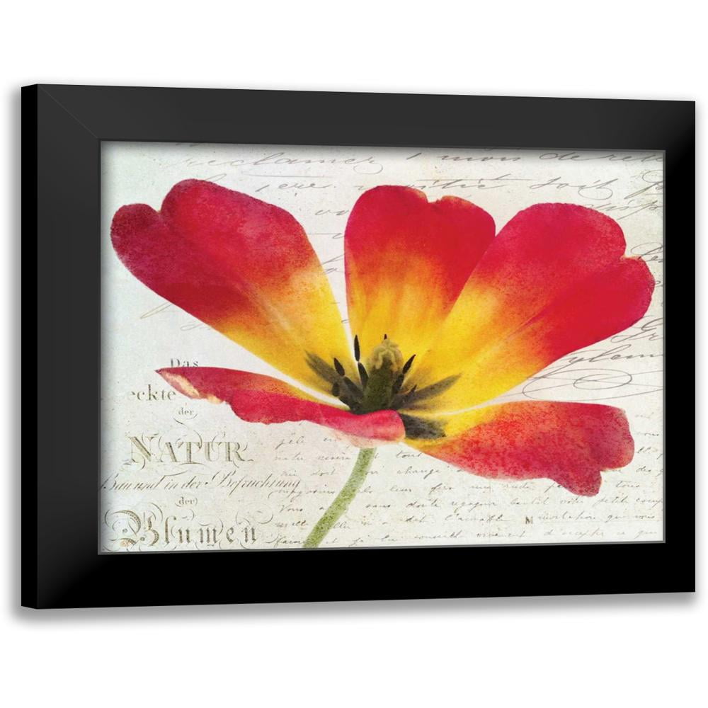 Melious, Amy 14x12 Black Modern Framed Museum Art Print Titled - Bloom ...