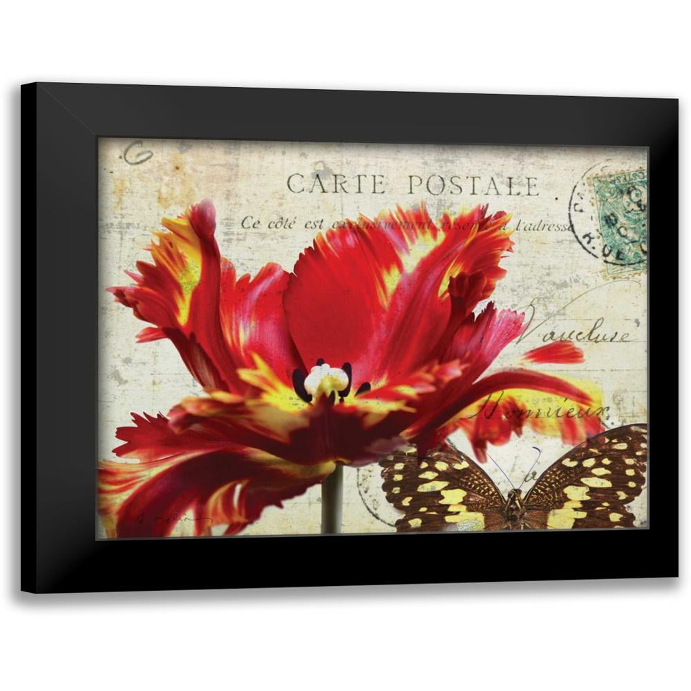 Melious, Amy 14x12 Black Modern Framed Museum Art Print Titled - Carte ...