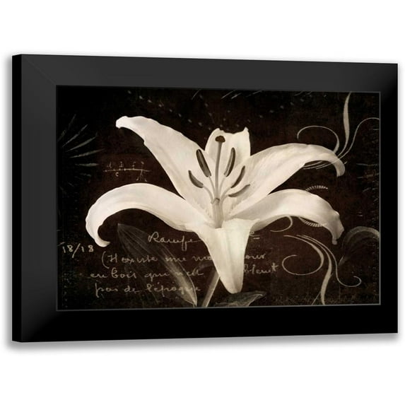 Melious, Amy 14x12 Black Modern Framed Museum Art Print Titled - Garden ...