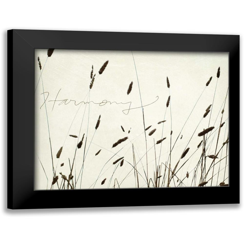 Melious, Amy 14x12 Black Modern Framed Museum Art Print Titled - Grass ...