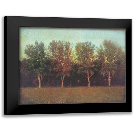 Melious, Amy 14x12 Black Modern Framed Museum Art Print Titled ...