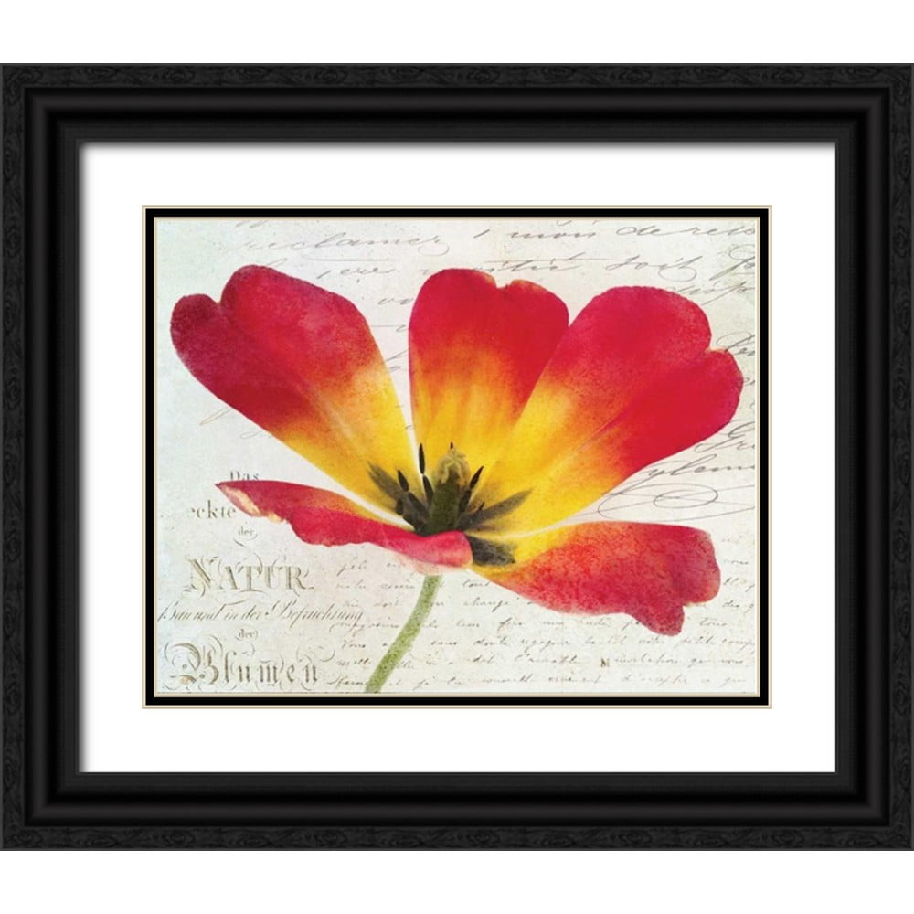 Melious, Amy 14x12 Black Ornate Wood Framed with Double Matting Museum ...