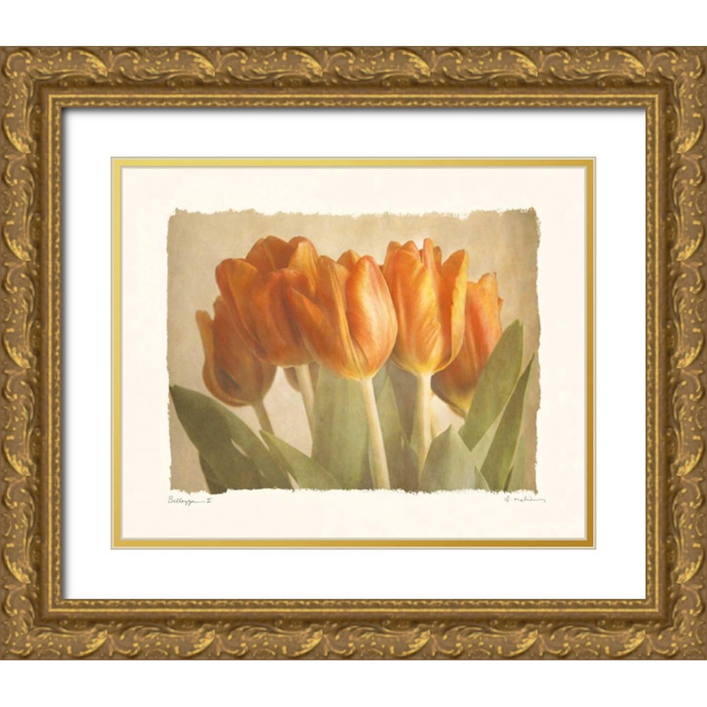Melious, Amy 14x12 Gold Ornate Wood Framed with Double Matting Museum ...