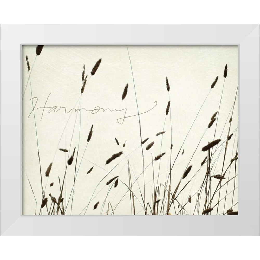 Melious, Amy 14x12 White Modern Wood Framed Museum Art Print Titled ...