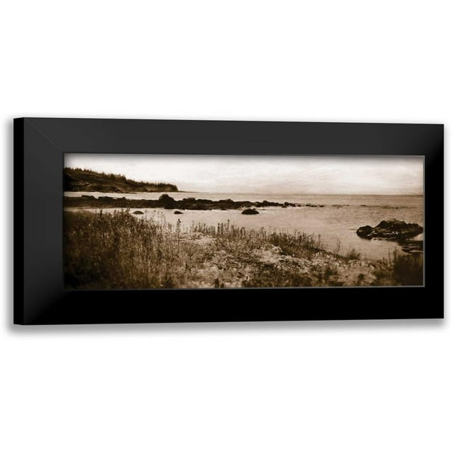 Melious, Amy 14x8 Black Modern Framed Museum Art Print Titled - Sepia ...
