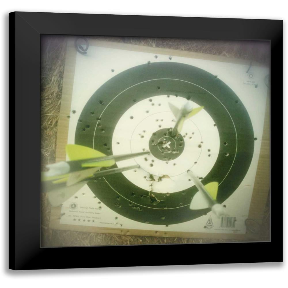 Melious, Amy 15x15 Black Modern Framed Museum Art Print Titled - Aim ...