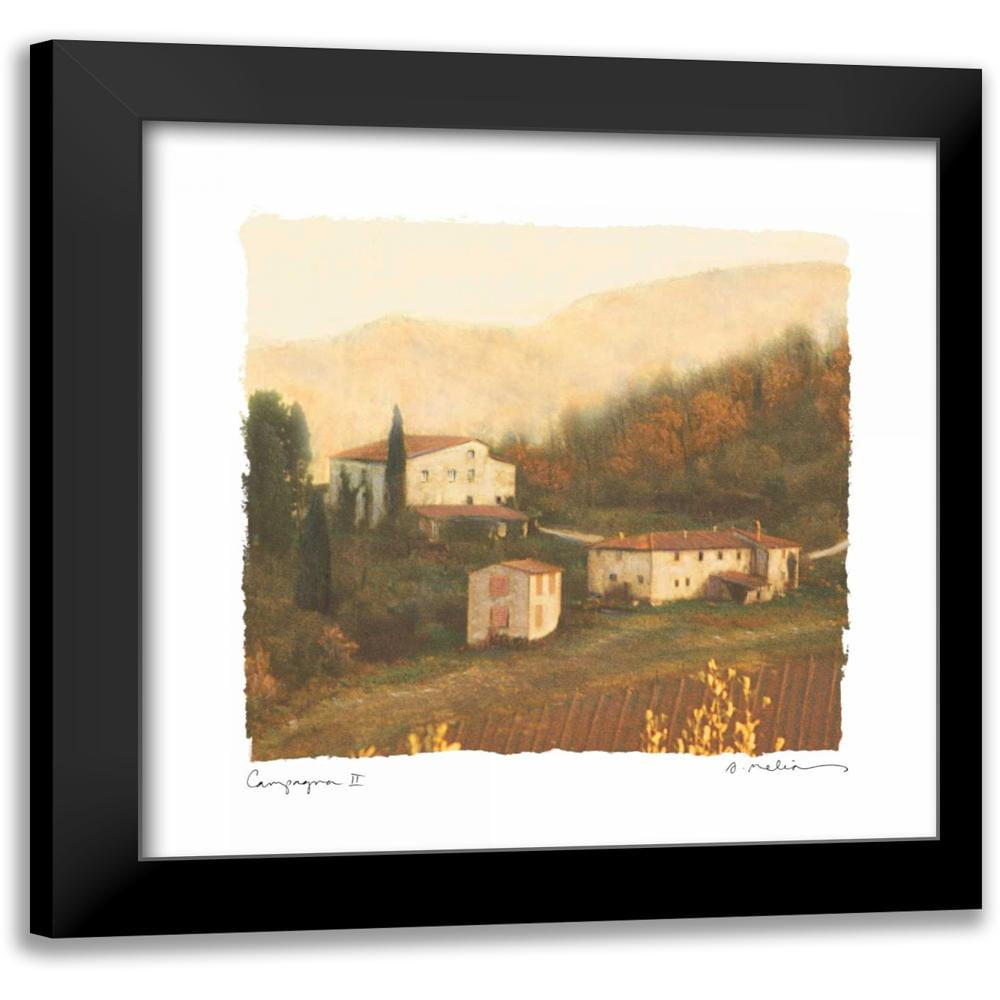 Melious, Amy 15x15 Black Modern Framed Museum Art Print Titled ...