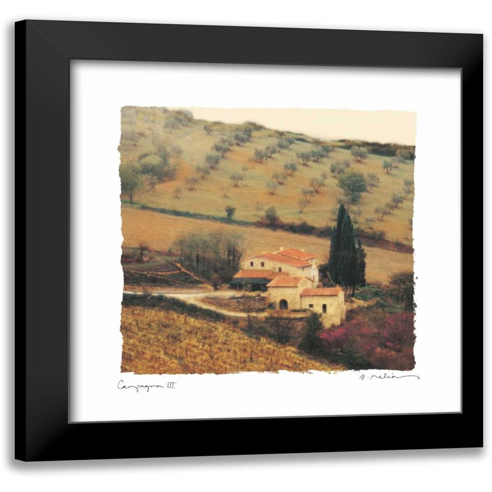 Melious, Amy 15x15 Black Modern Framed Museum Art Print Titled ...