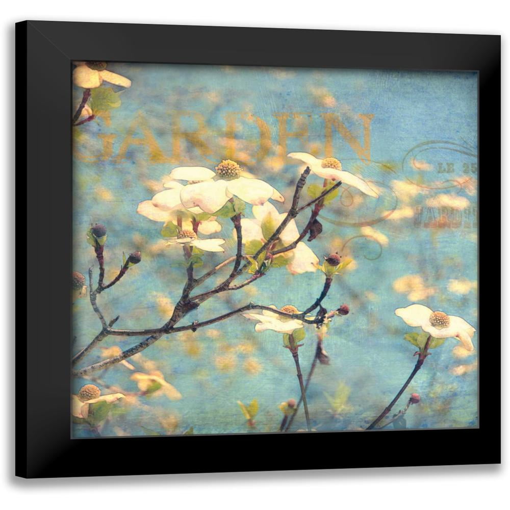 Melious, Amy 15x15 Black Modern Framed Museum Art Print Titled ...