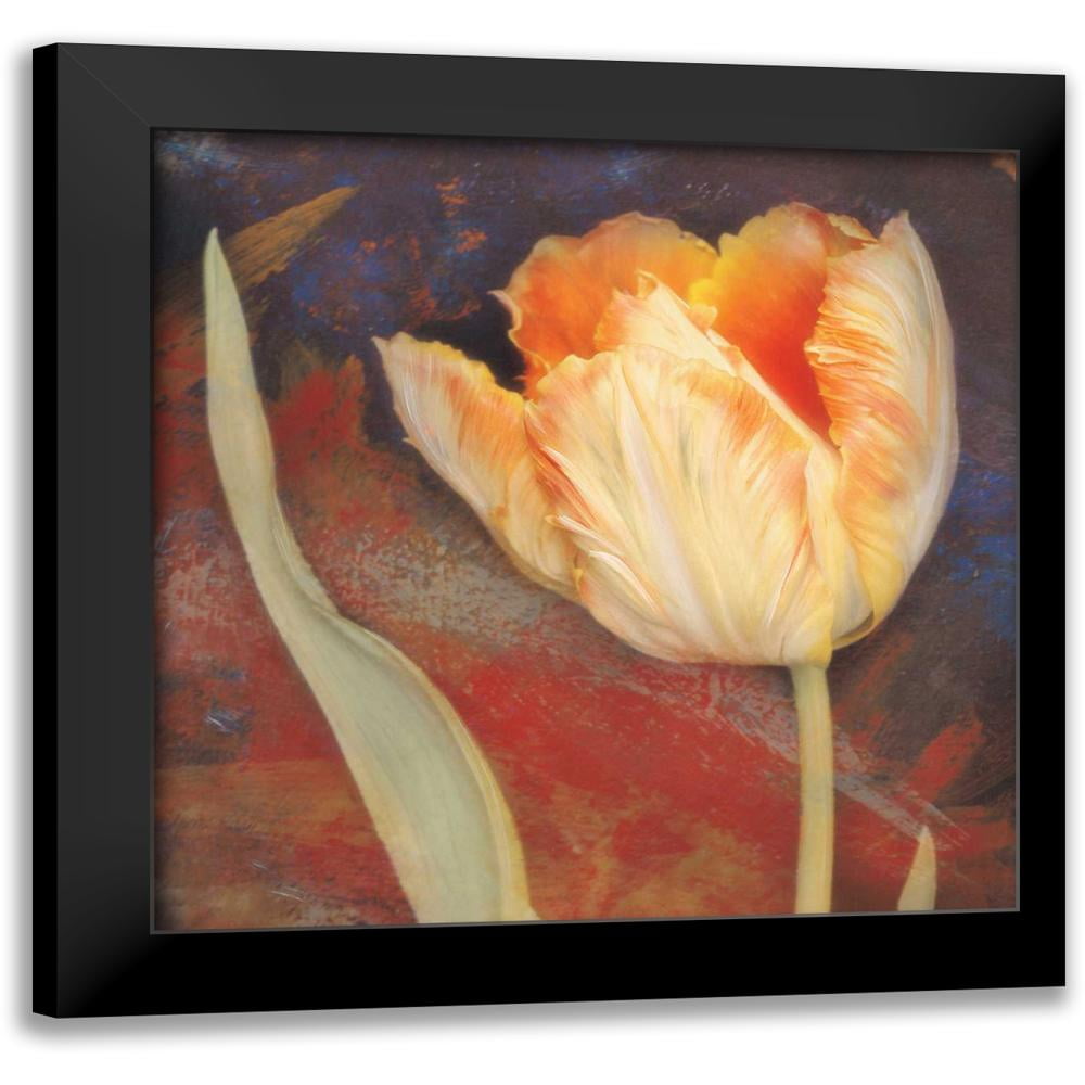 Melious, Amy 15x15 Black Modern Framed Museum Art Print Titled - Dusk ...