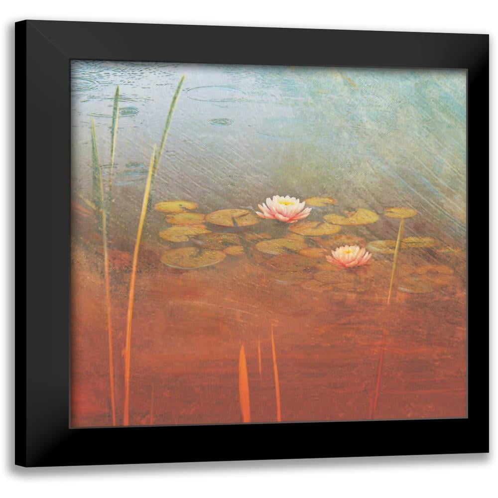 Melious, Amy 15x15 Black Modern Framed Museum Art Print Titled - Pond ...