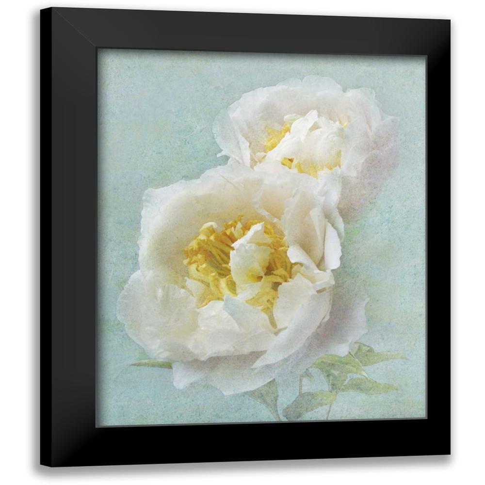 Melious, Amy 15x18 Black Modern Framed Museum Art Print Titled - Aqua ...